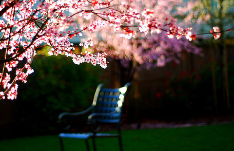 Graphic Design Inspiration: Spring